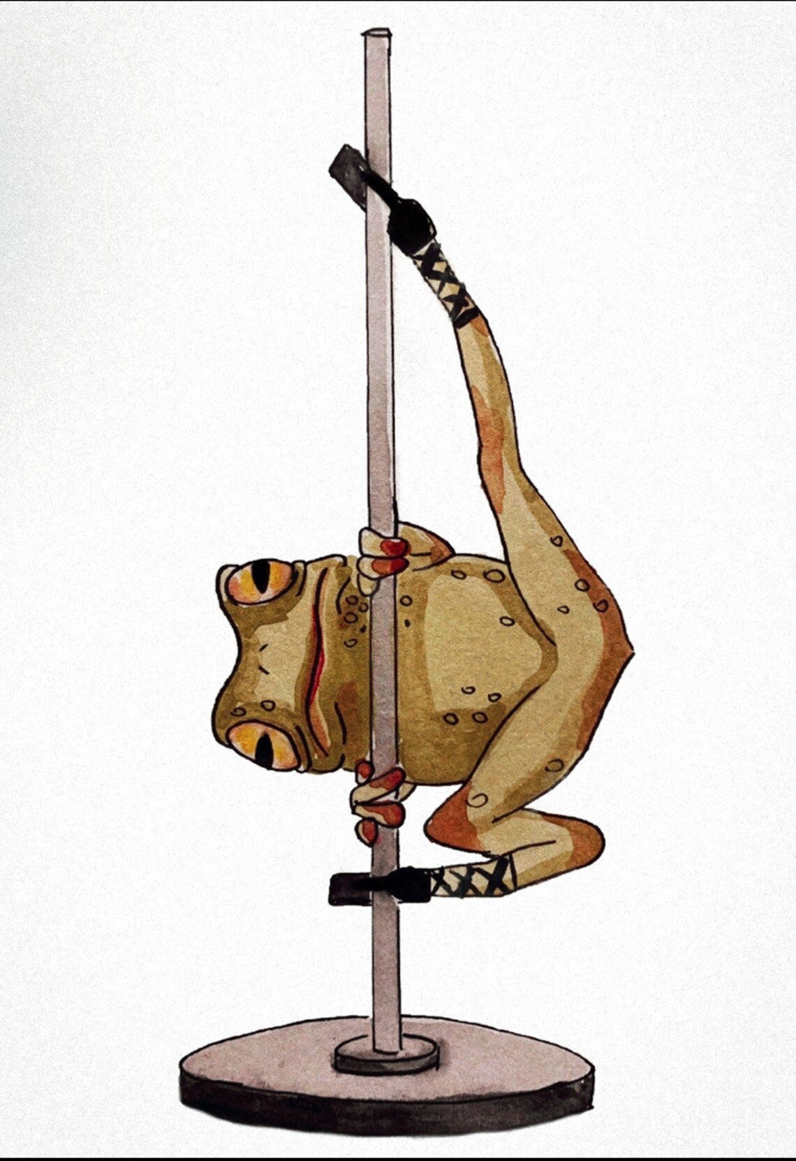 Pole Dancing Frog Sticker Stripper Frog Small and Large - Etsy
