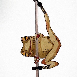 Pole Dancing Frog Sticker, Stripper Frog, Small and Large, Bumper ...