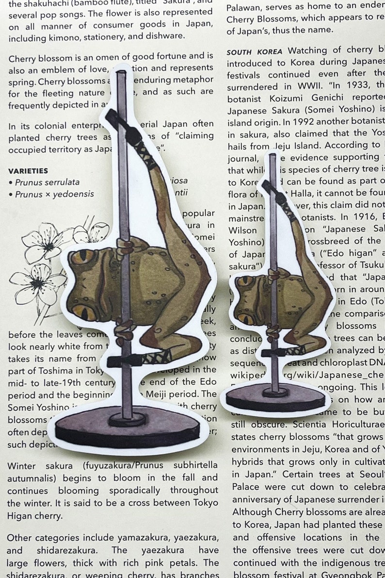 Pole Dancing Frog Sticker Stripper Frog Small and Large - Etsy