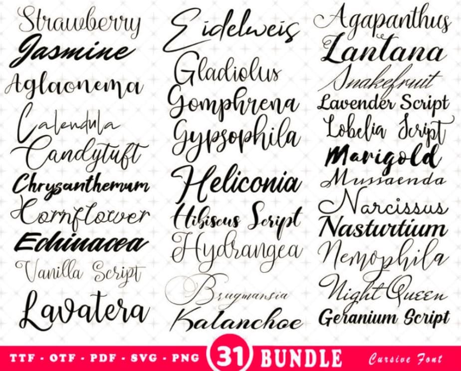 Tattoo Cursive Script Alphabet