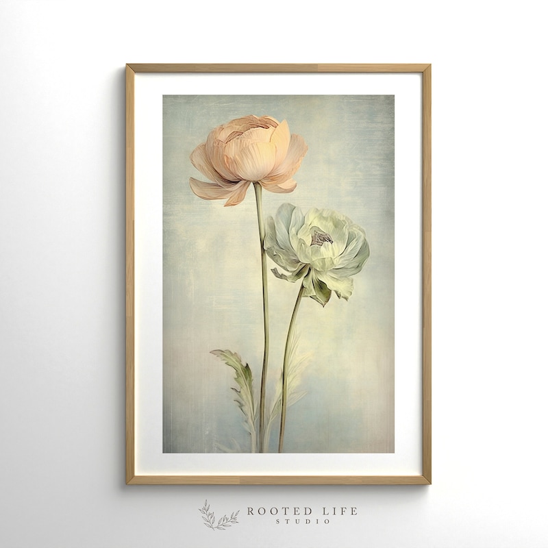 Ranunculus Art - Etsy