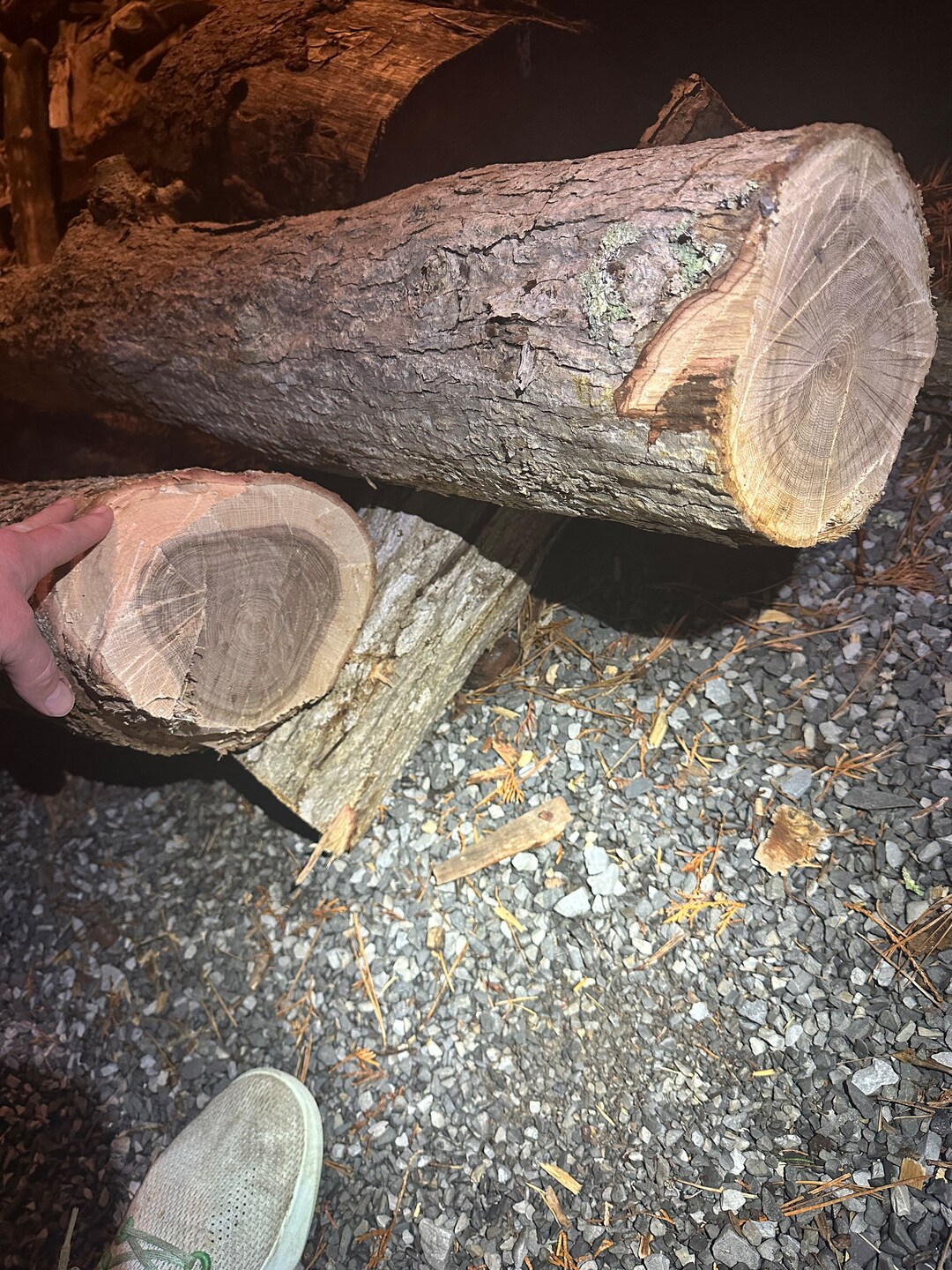 Box of Fresh Harvested Greenwood Logs: White Oak, Cherry, Honey Locust ...