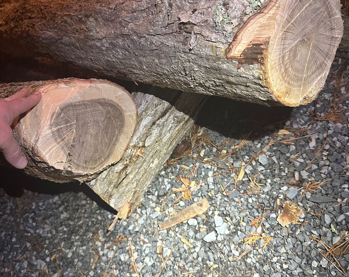 Box of Fresh Harvested Greenwood Logs: White Oak, Cherry, Honey Locust ...