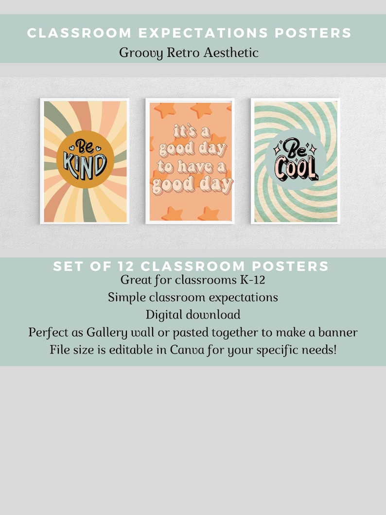 Editable Classroom Posters Expectations & Classroom Management Groovy ...