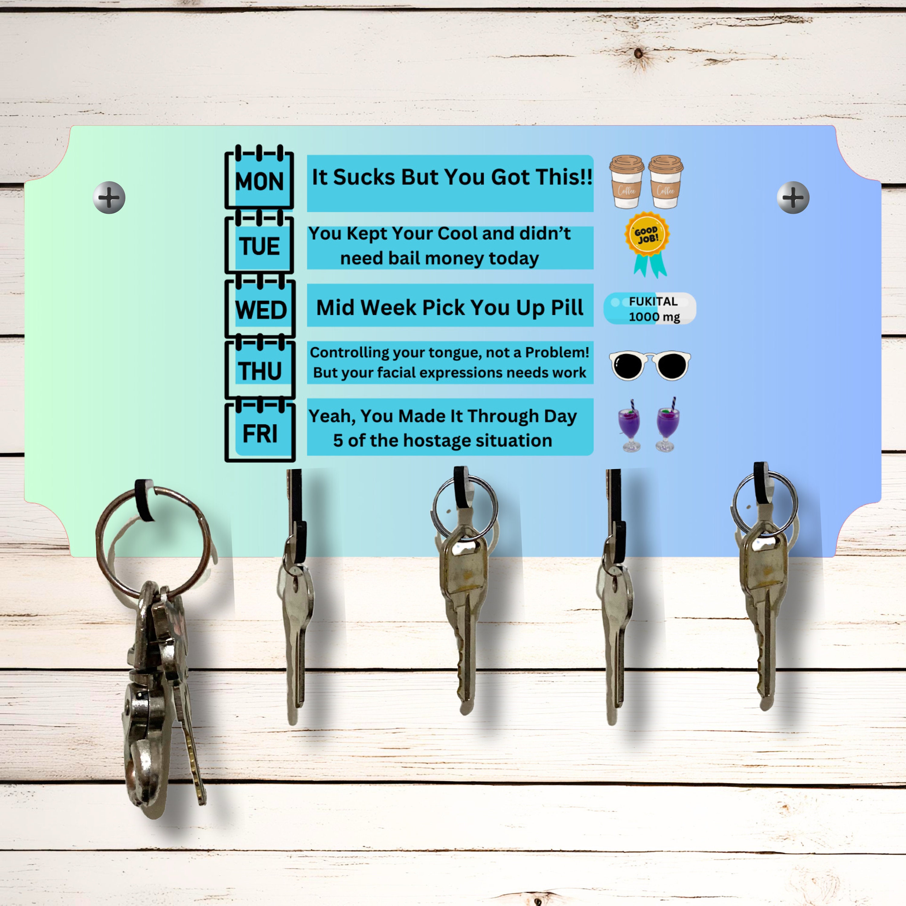 Funny Work Motivational Schedule, Key Wall Rack Holder Organizer 10"x5 ...
