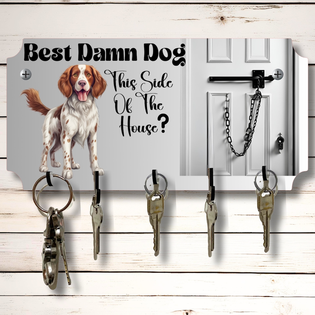 Springer Spaniel Dog Themed Key Wall Rack Holder Organizer 10"x5 ...