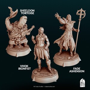 Vhok Ironfist, Hero for DND or Pathfinder 8K Resin Based Miniature the ...