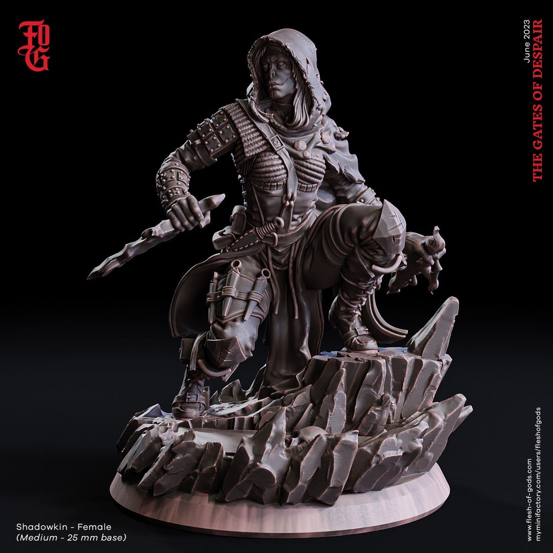 Shadowkin Female, Hero for DND or Pathfinder 8K Resin Based Miniature ...