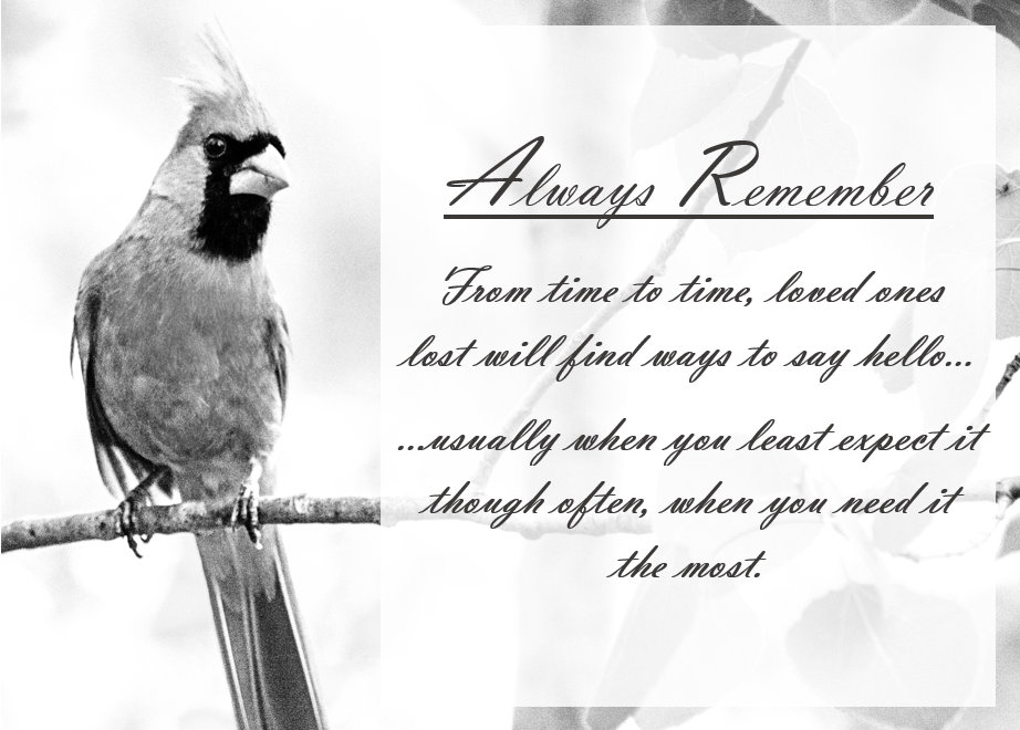 Grief Quote Cardinal Bereavement Digital Download Printable Black ...