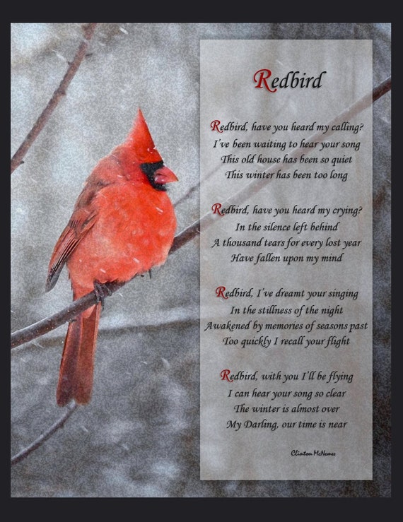 Redbird Original Poem Digital Download Written About - Etsy