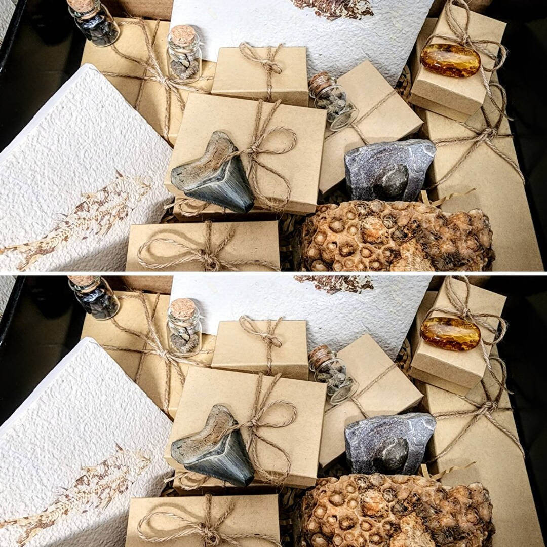 DELUXE Fossil Collection Mystery Box, High End Fossil Specimens, Ready ...
