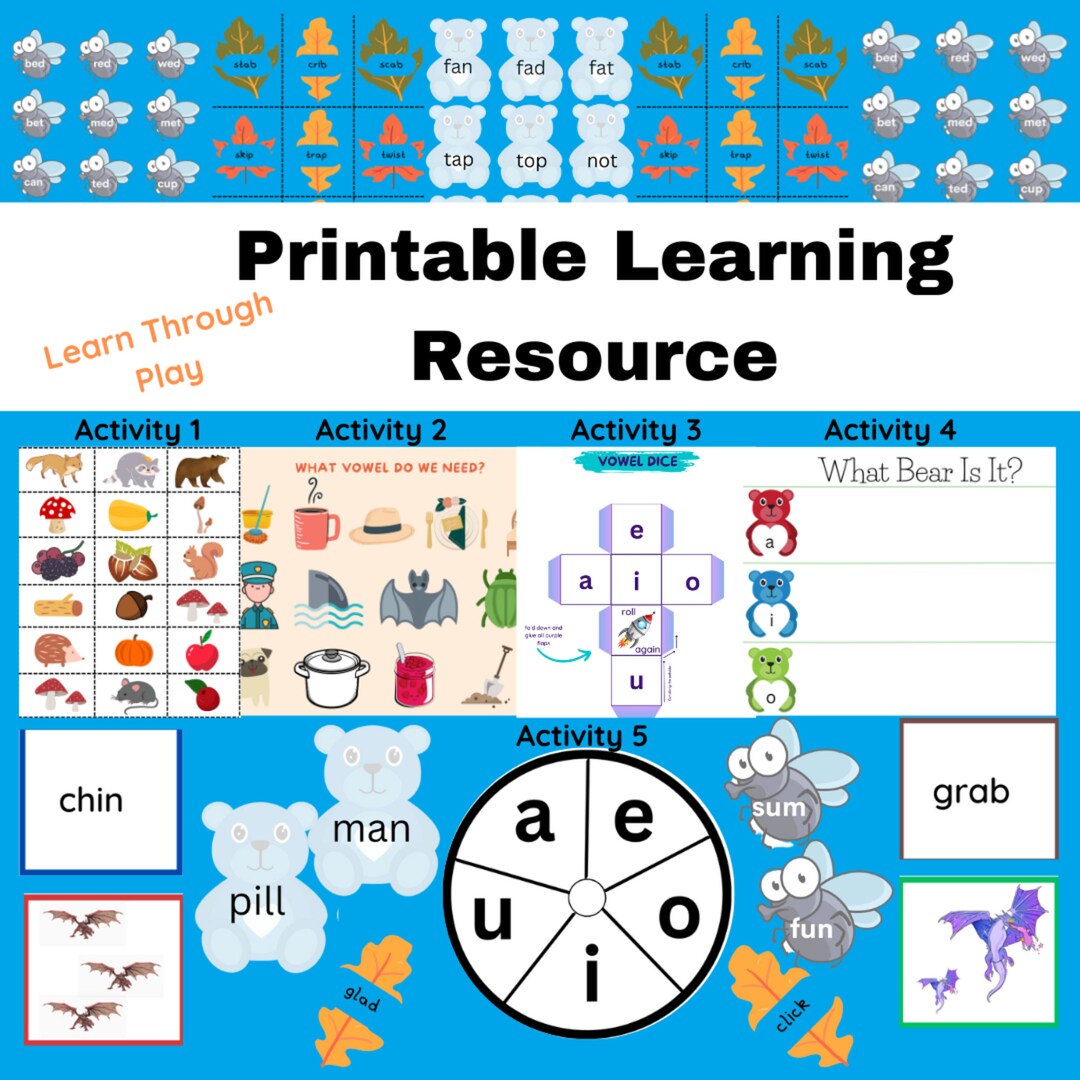 CVC Words Reading Activities CVC Word Science of Reading - Etsy