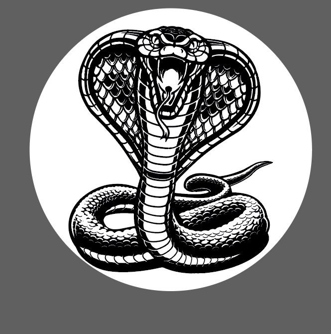 King Cobra Coin Vector SVG Ai - Etsy