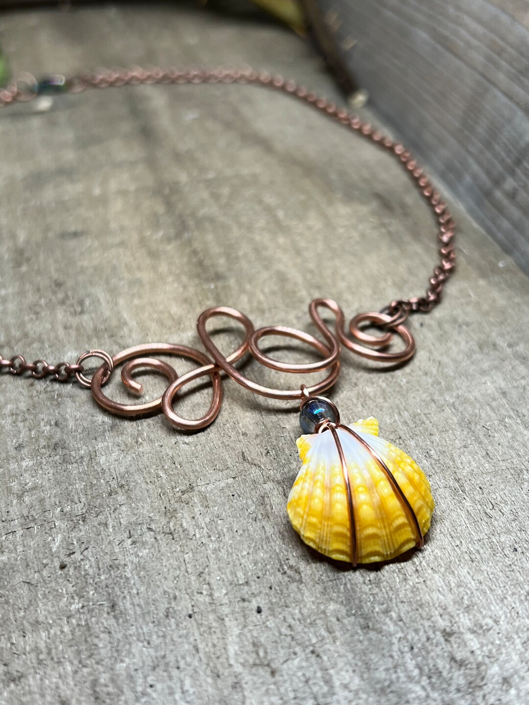 Rare Natural Hawaiian Sunrise Seashell Copper Coiled Necklace - Etsy