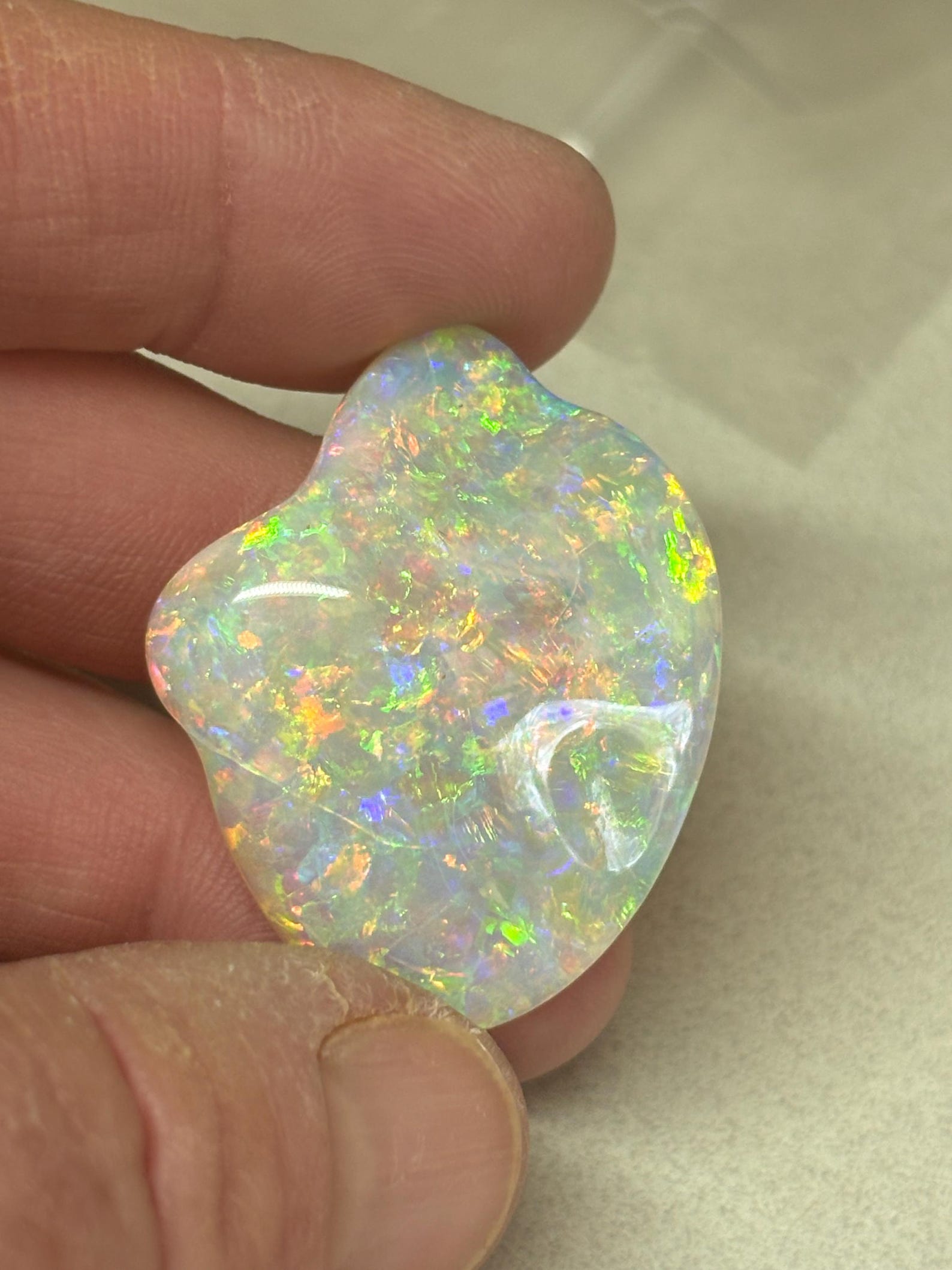 Opalised Fossil Shell - Gem Quality - Etsy