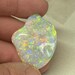 Opalised Fossil Shell - Gem Quality - Etsy