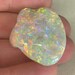 Opalised Fossil Shell - Gem Quality - Etsy
