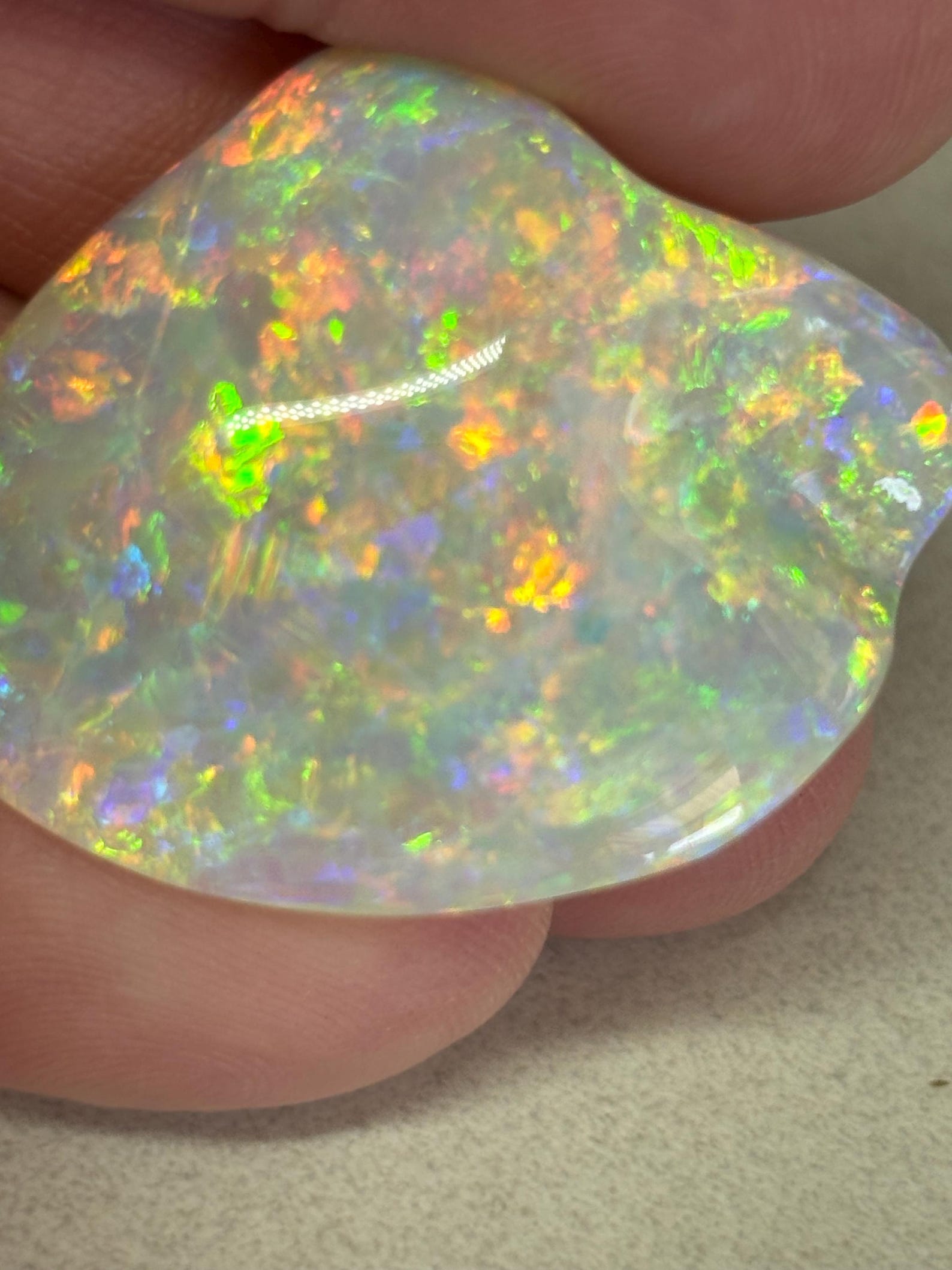 Opalised Fossil Shell - Gem Quality - Etsy