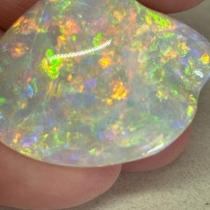 Opalised Fossil Shell - Gem Quality - Etsy