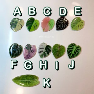 Realistic Leaf Magnets Fridge Magnet Tropical Plants Magnet Plants ...