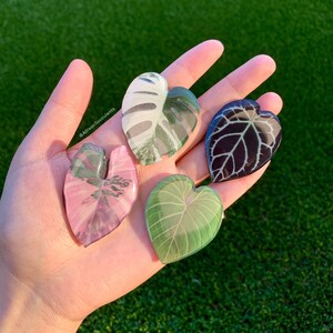 Realistic Leaf Magnets Fridge Magnet Tropical Plants Magnet Plants ...