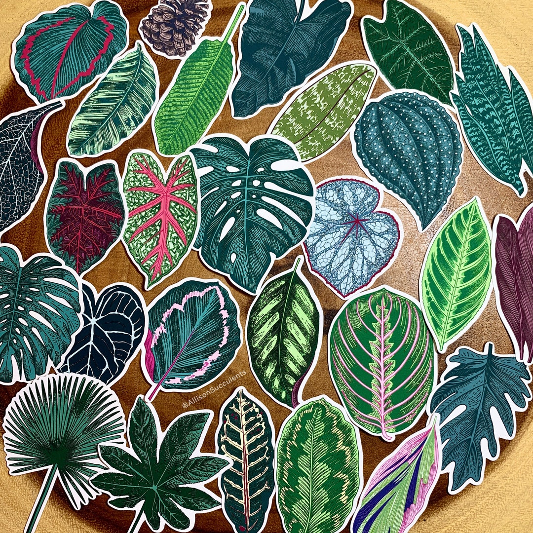 Leaf Sticker 27 Pcs Set Foliage Stickers Tropical Plant Stickers ...