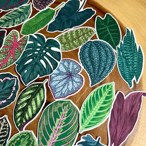 Leaf Sticker 27 Pcs Set Foliage Stickers Tropical Plant Stickers ...