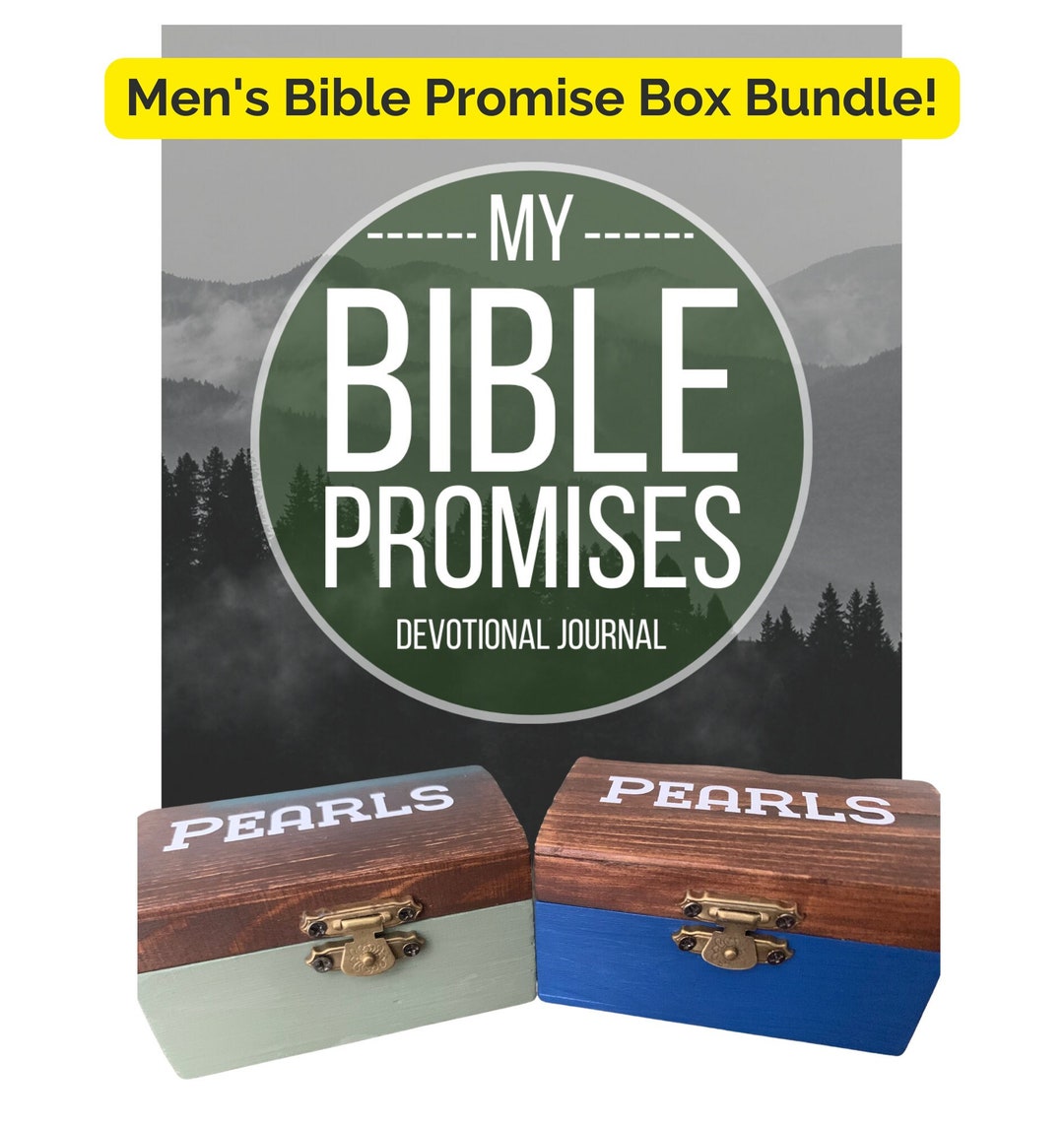 Men's NIV Bible Promise Box and Devotional Journal, Bible Promise Cards ...