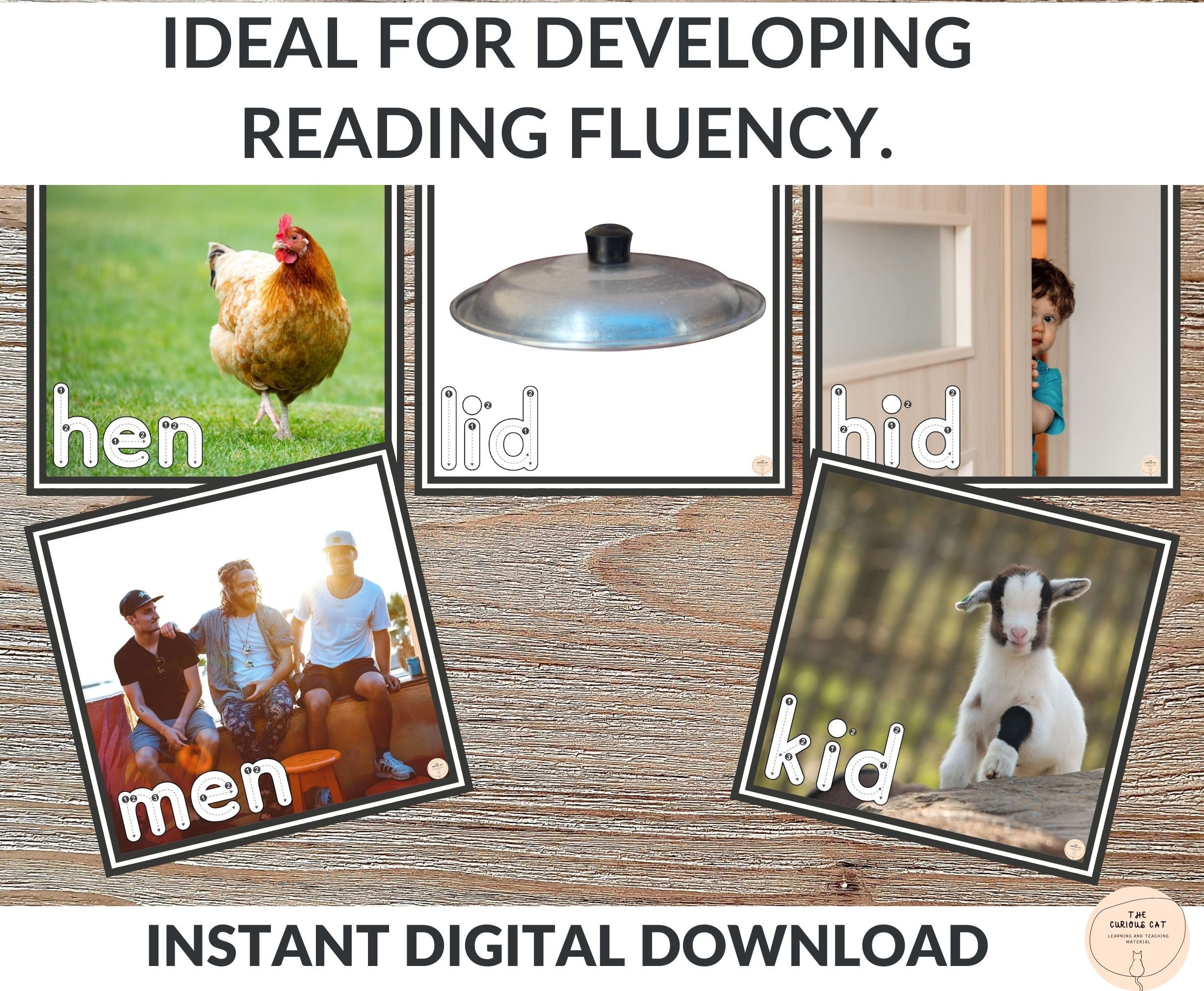 Kindergarten Phonics Word Picture Flashcards CVC Photo - Etsy