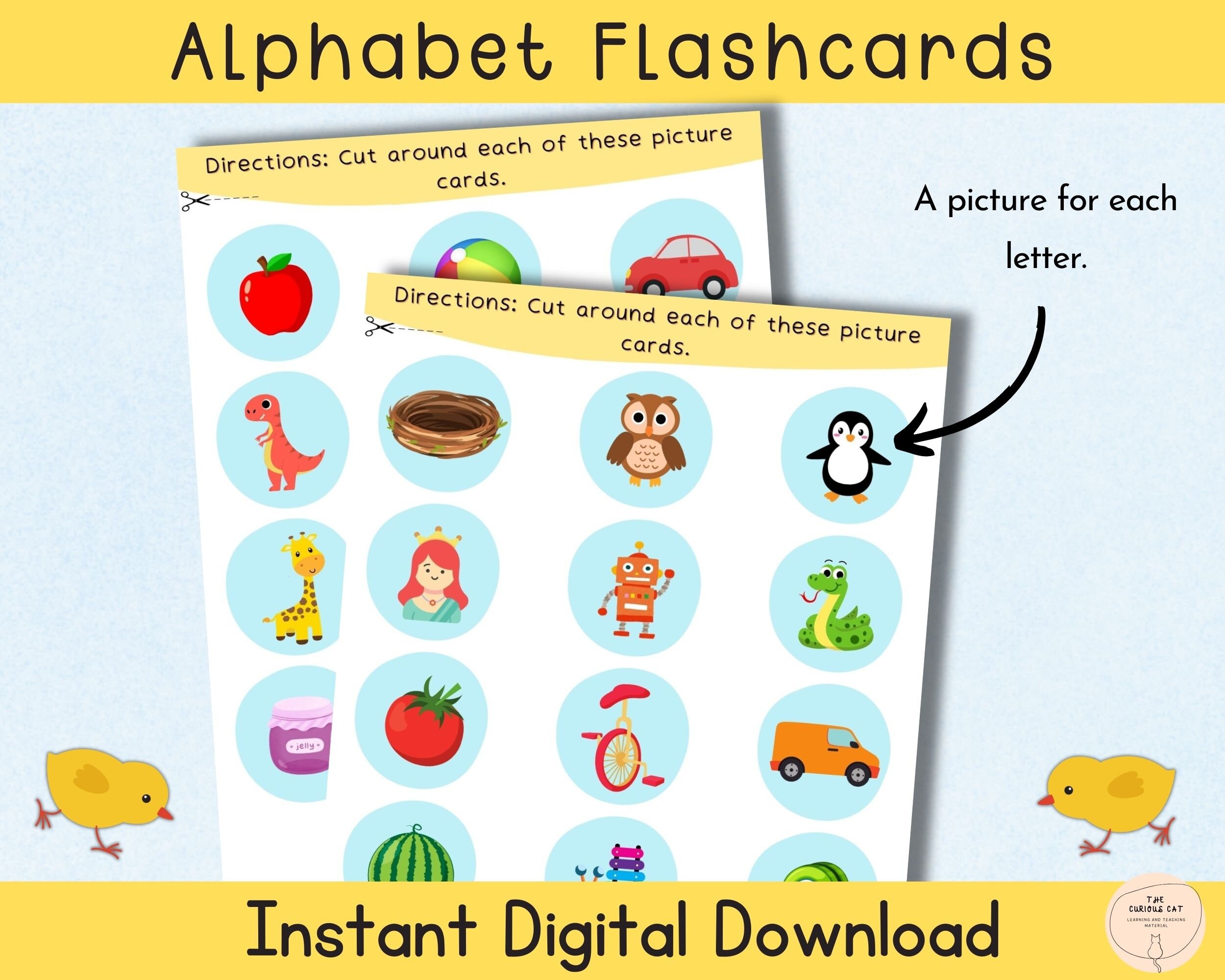 Toddler, Pre-school & Kindergarten Letter Practice Activity, Alphabet ...