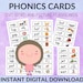 Phonics Words and Picture Cards, CVC Word Families Matching Flashcards ...