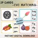 CVC Match and Clip Cards, CVC Pictures & Words, Early Reading, Phonics ...
