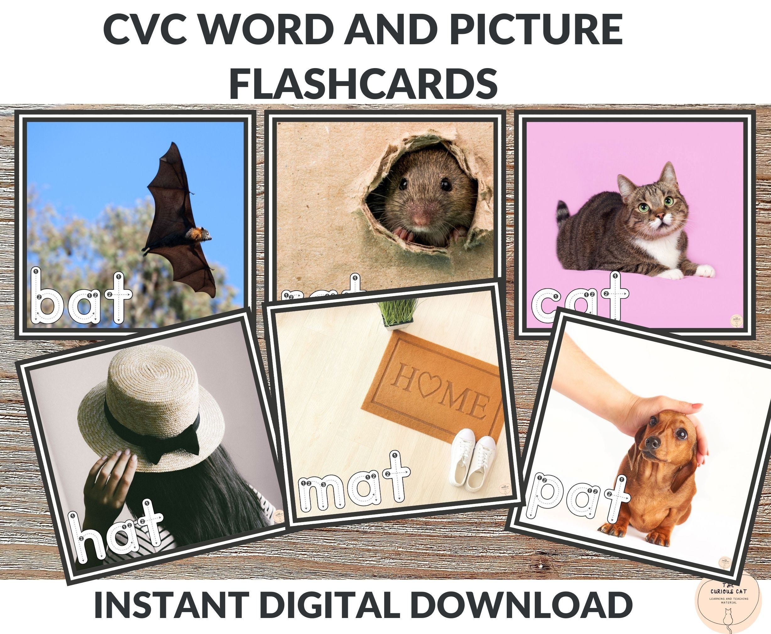 Kindergarten Phonics Word Picture Flashcards CVC Photo - Etsy