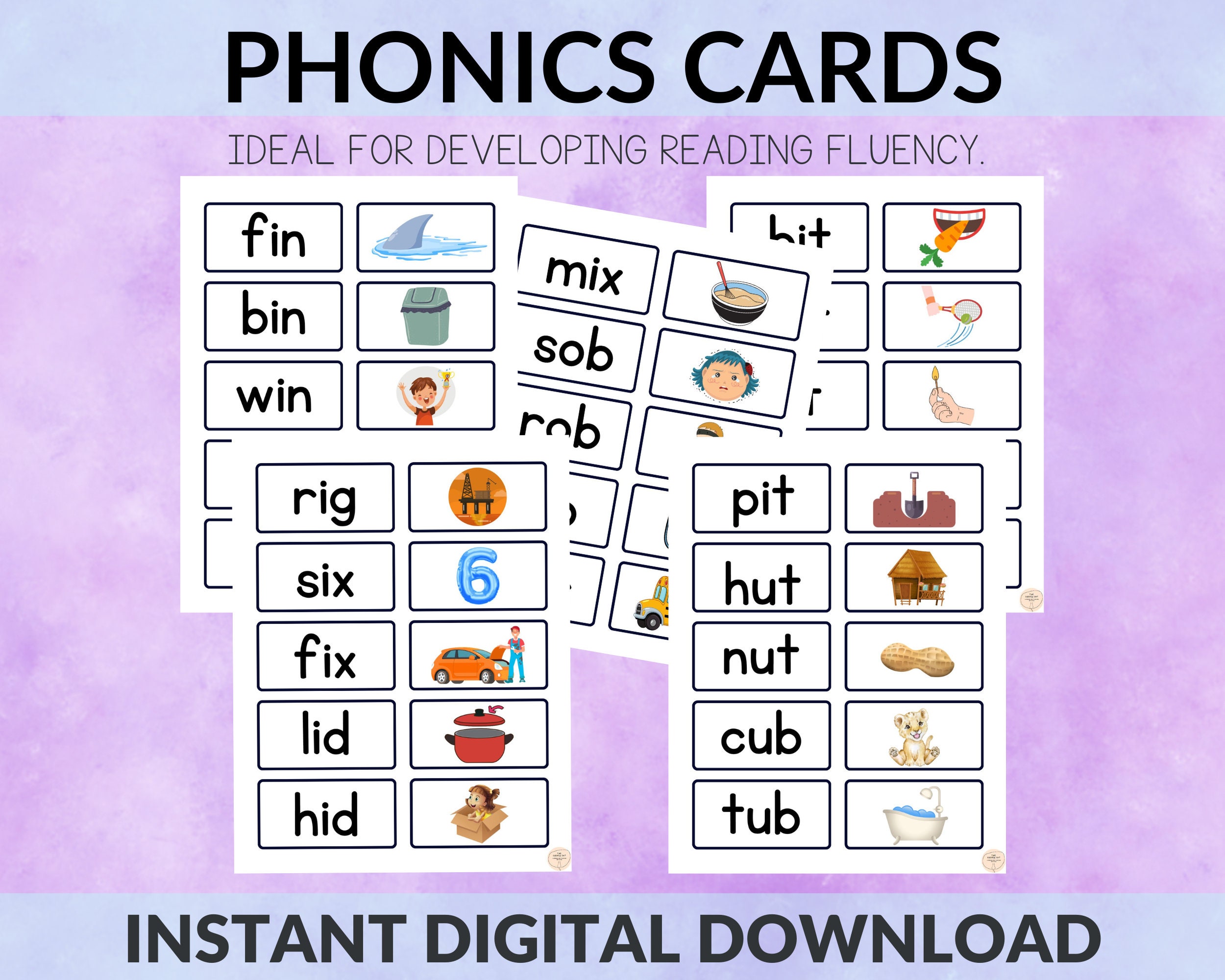 Phonics Words and Picture Cards, CVC Word Families Matching Flashcards ...