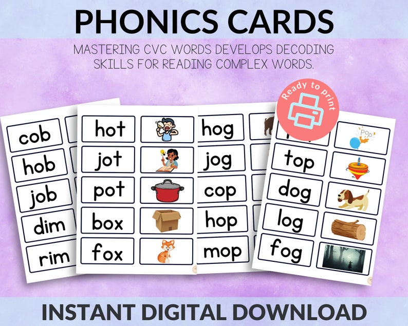 Phonics Words and Picture Cards, CVC Word Families Matching Flashcards ...