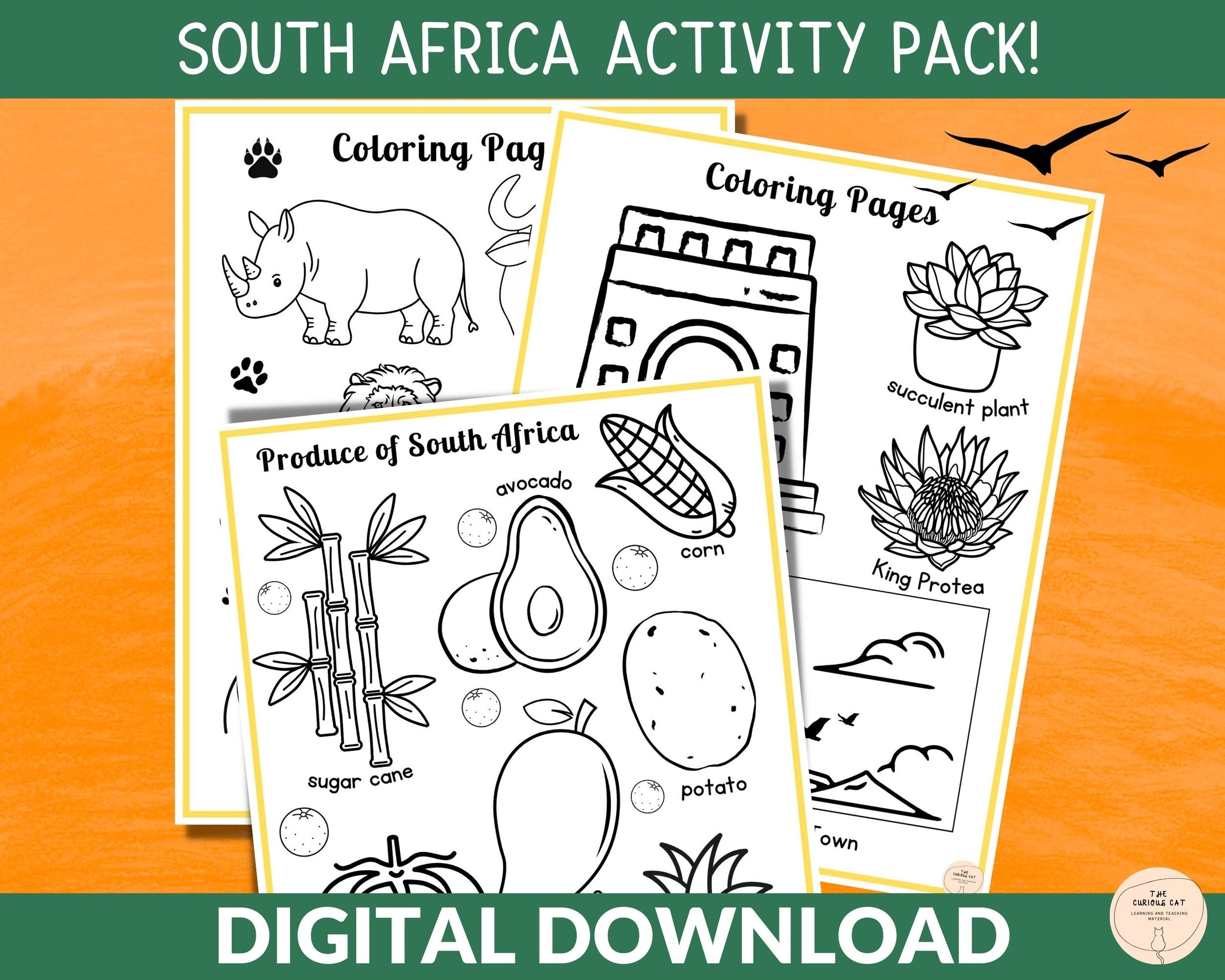 Printable South Africa Kids Activity Pack Travel Worksheets Activities ...