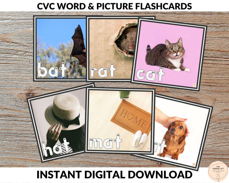 Phonics Printables, Word Picture Flashcards, CVC Cards, Literacy Center ...
