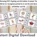 CVC Rhyming Words Activity, Word Families Rhyming Picture Cards, Early ...