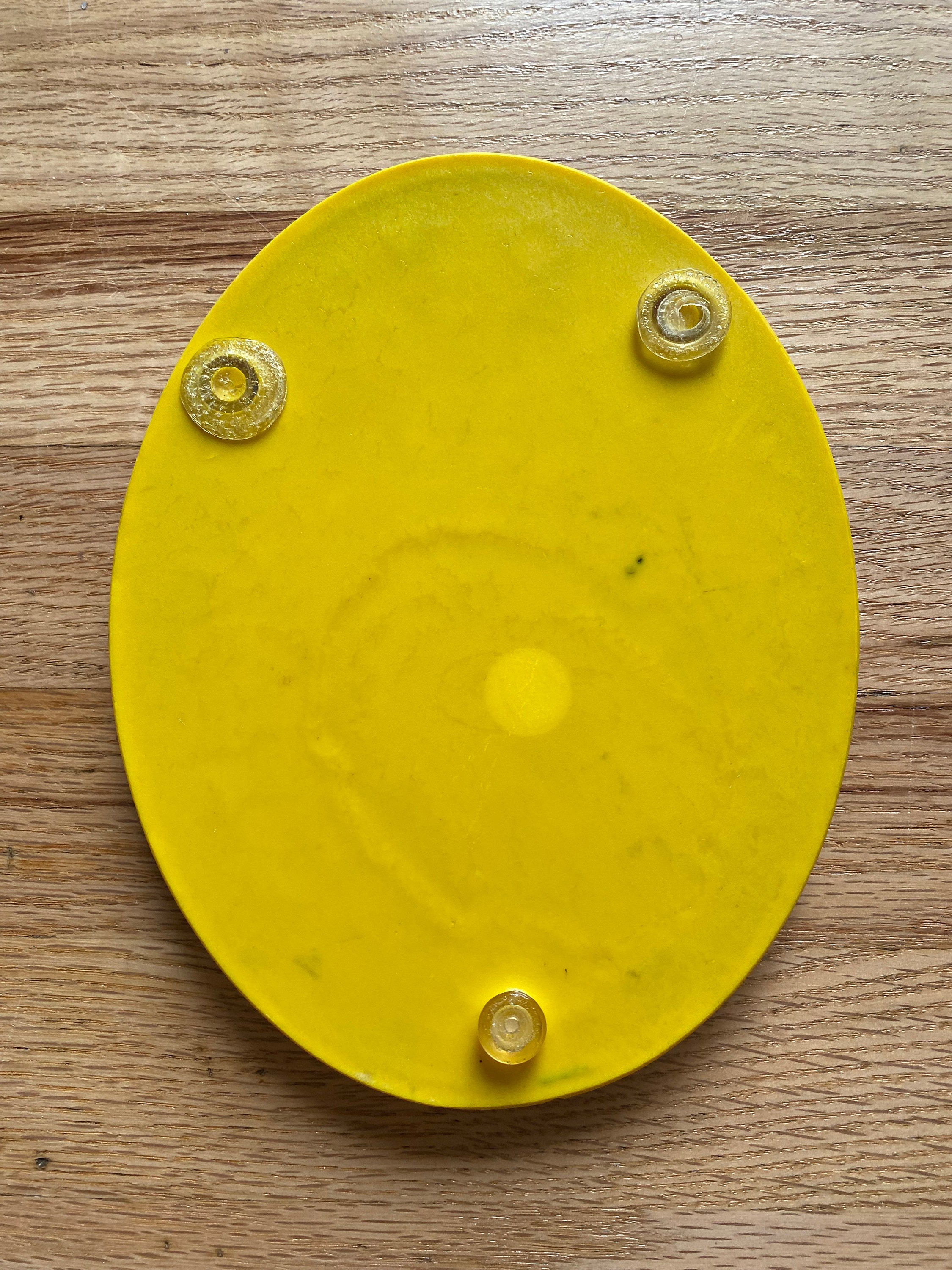 Vintage Resin Dried Flower Trivet Dish // Flower Power Hot Plate ...