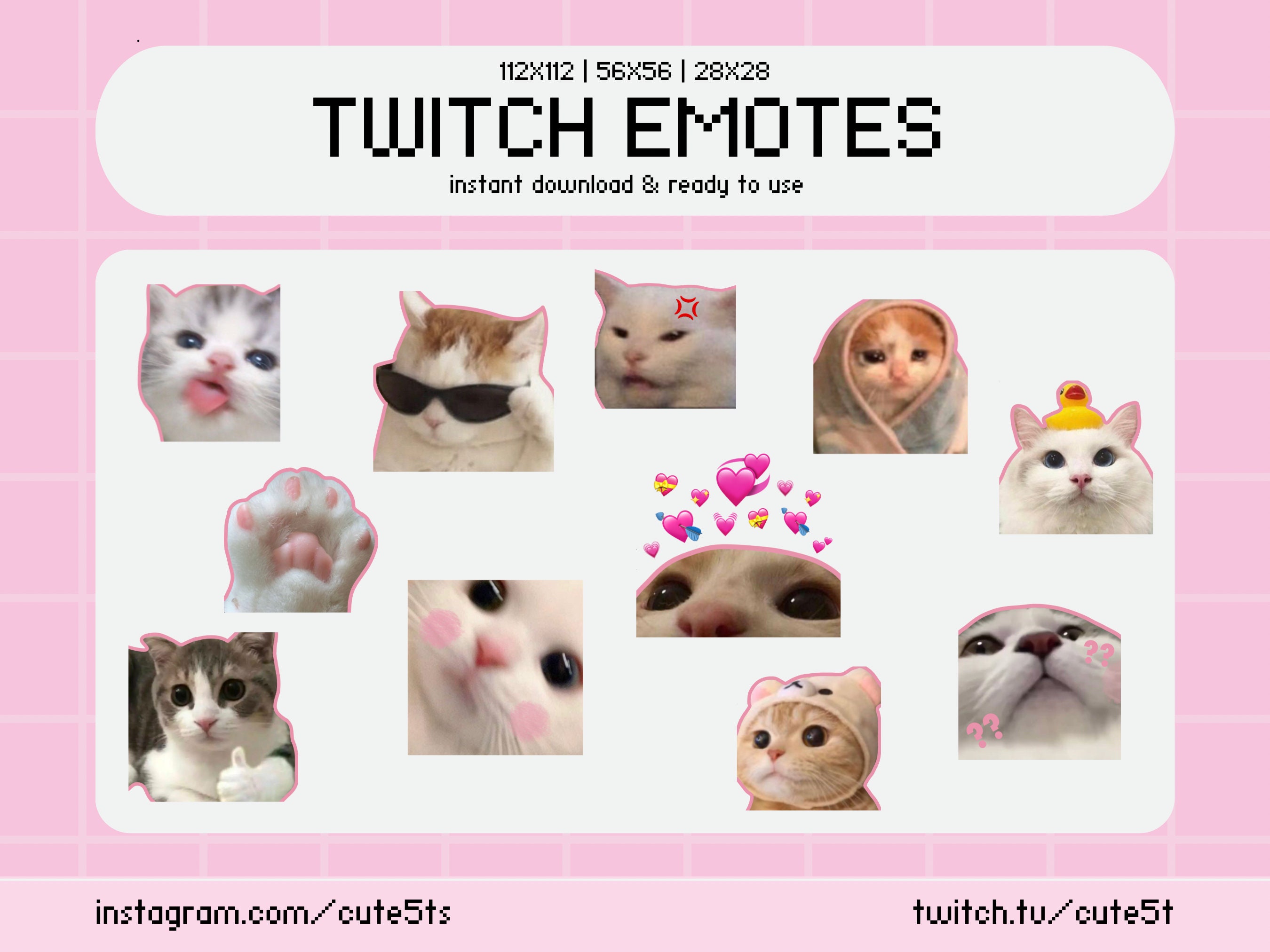 11 Cute Cat Meme Emotes Digital Download Twitch Discord - Etsy Canada