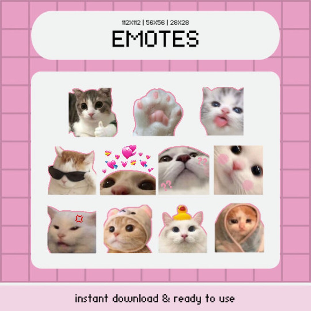 11 Cute Cat Meme Emotes Digital Download Twitch Discord - Etsy Australia