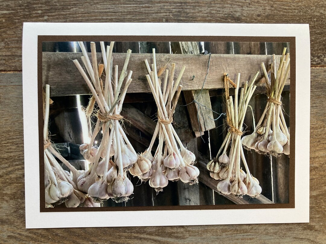 Garlic Greeting Card, Handmade Photo Card, Nature, 5x7 Photo Note Card ...