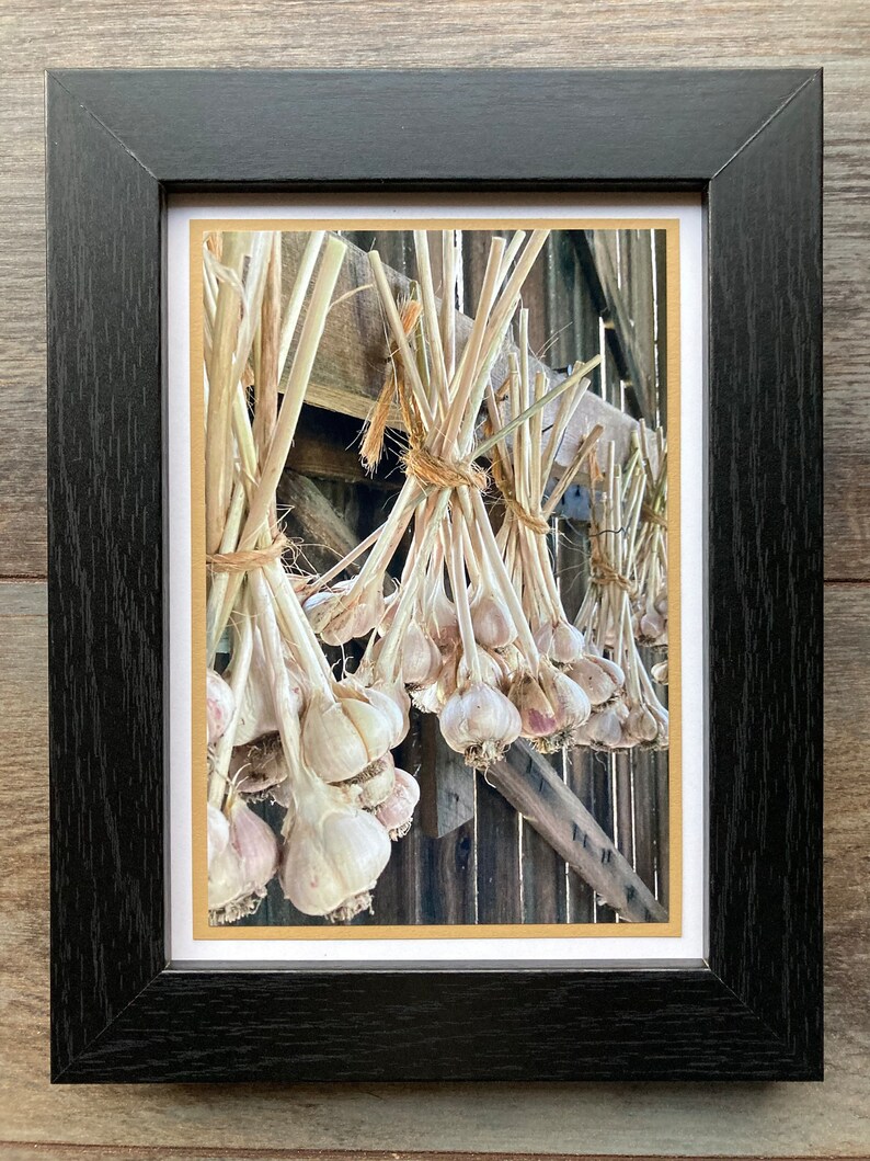 Garlic Greeting Card Handmade Photo Card Nature 5x7 Photo - Etsy