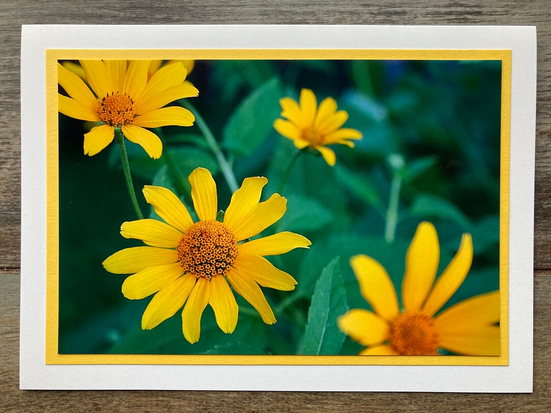 Handmade Flower Photo Card: Blank Note Card With Envelope - Etsy