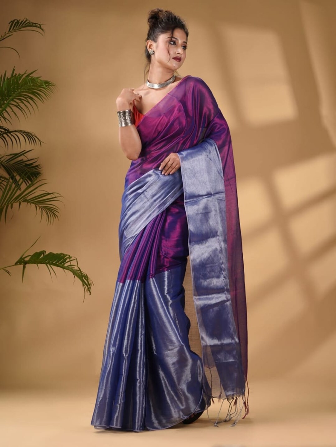 Beautiful Raga Tissue Saree With Tassels. Elegant and Timeless. Free ...