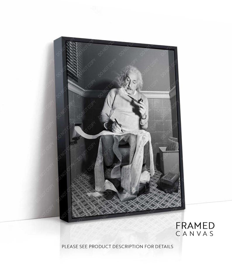 Albert Einstein on Toilet Canvas Print | Wall Art | Stretched Canvas ...