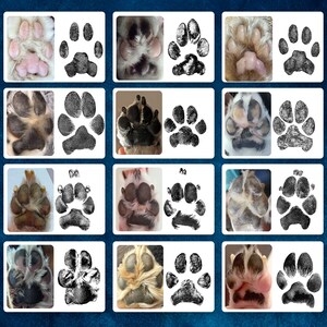 Paw Print Editing • Custom Paw Print • Digital Download • Pet Memorial ...