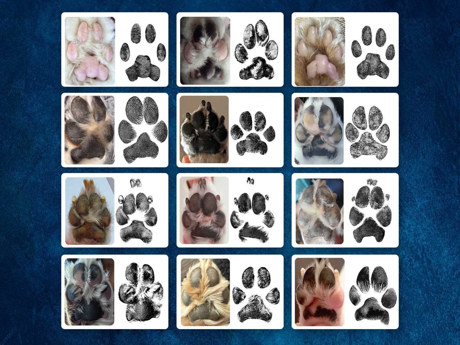 Custom Paw & Nose Print Necklace • Your Pet's Actual Paw or Nose Print ...