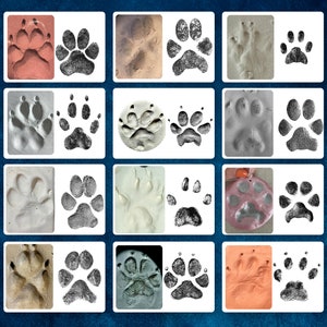 Paw Print Editing • Custom Paw Print • Digital Download • Pet Memorial ...