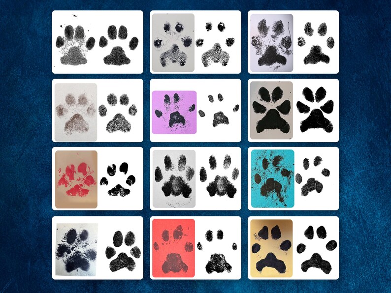 Paw Print Editing • Custom Paw Print • Wood Christmas Ornament • Pet ...